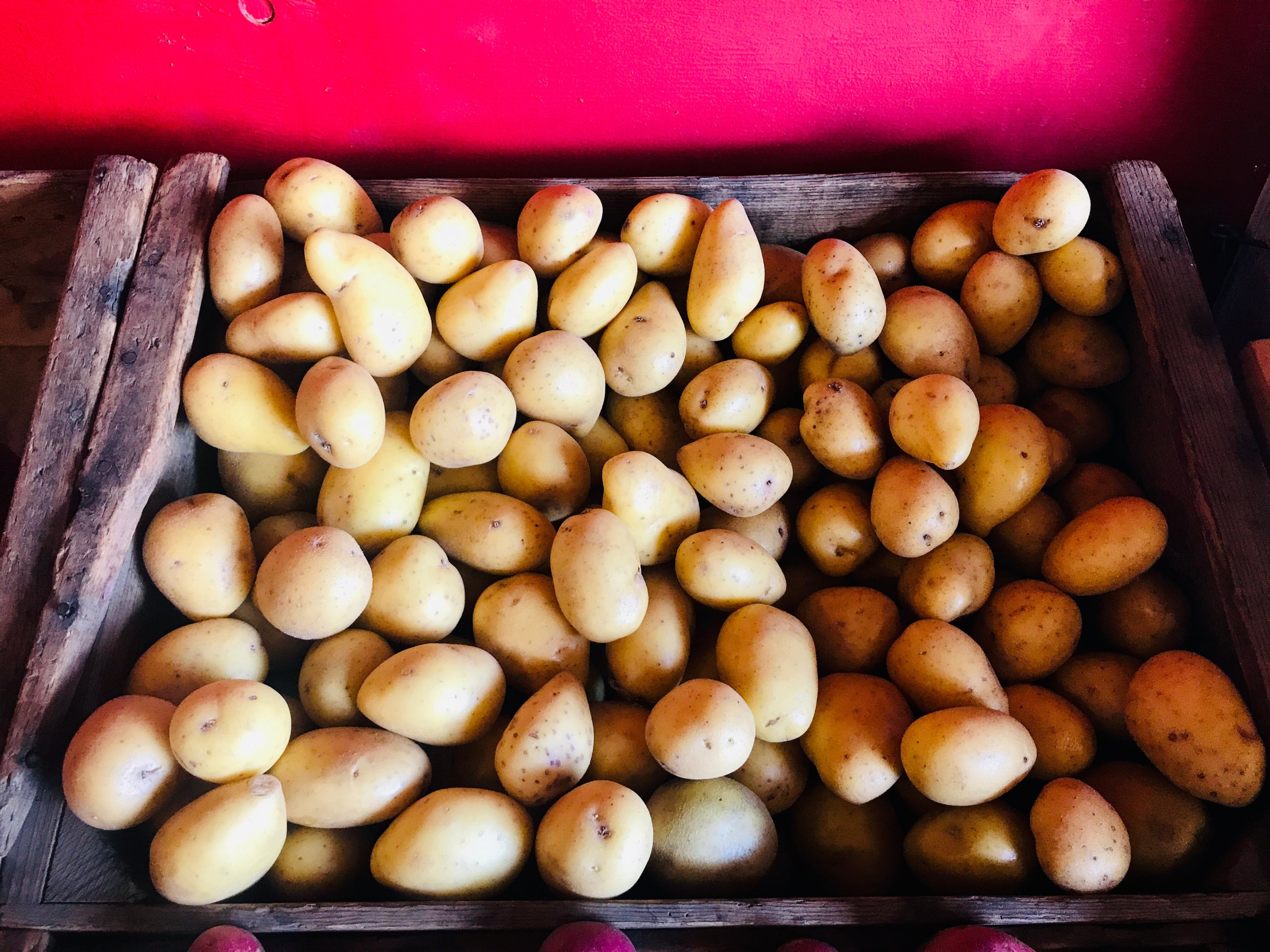 Potatoes - Price per Pound | Rodin Farm, The Fruit Stand