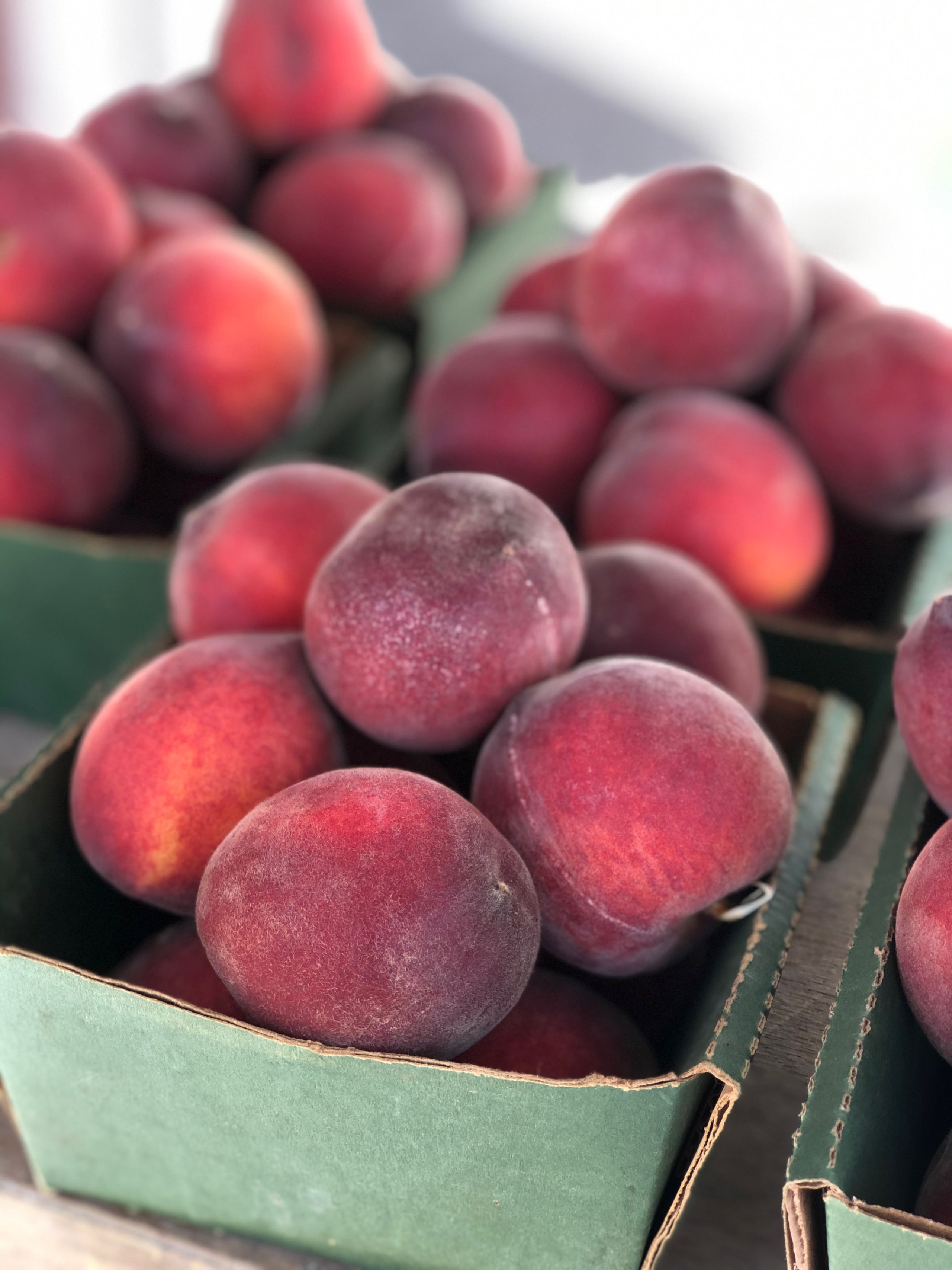 Fresh Peaches - Price per Pound | Rodin Farm, The Fruit Stand